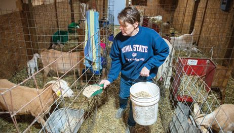 Iowa farmers work to tap into growing demand for hops