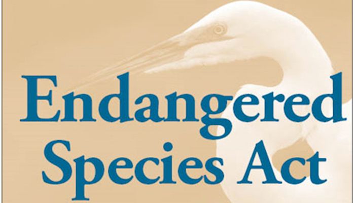 Endangered Species Act Logo Endangered Species Act Logo