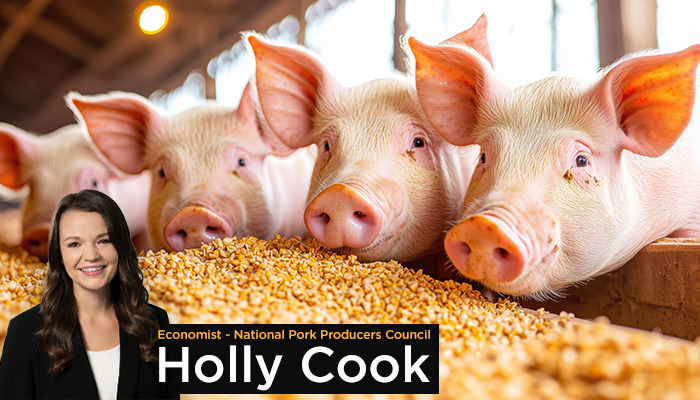 2025 Hog Market Update & Outlook with the National Pork Producers Council