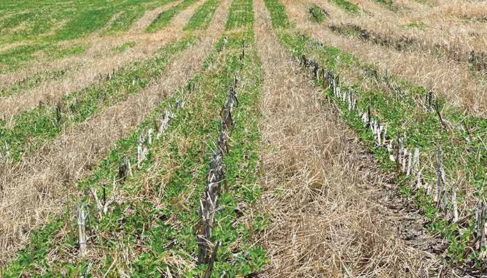 USDA launches Regenerative Agriculture Pilot Program