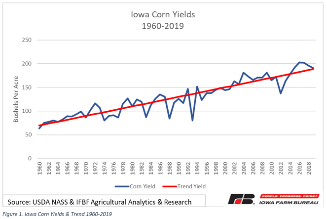 Corn Yields in the Midwest in 2019: USDA Report Shows Better Yields ...