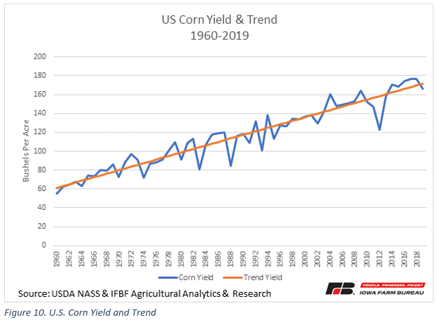 Corn Yields in the Midwest in 2019: A Tale of Uncertainty and Differences