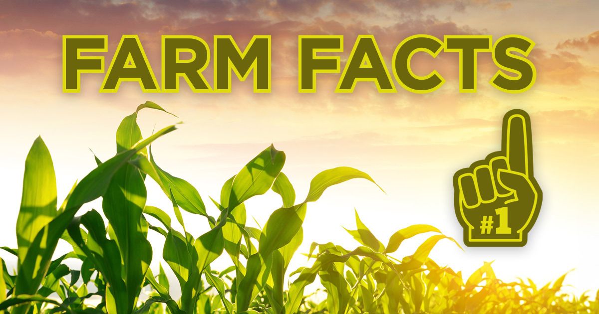 Top 10 Farm and Agriculture Facts – Iowa