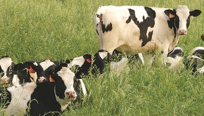 CME Class III Milk Futures - July 27, 2016