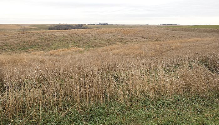 USDA authorizes emergency CRP haying