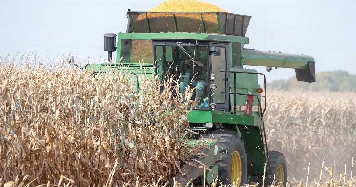 Corn exports surge as global demand broadens